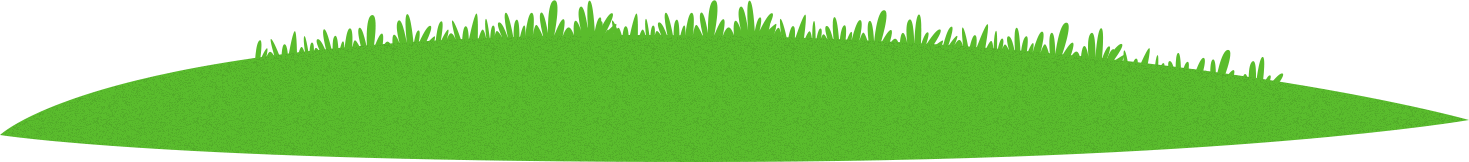 Little Riders – Learn to ride a bike